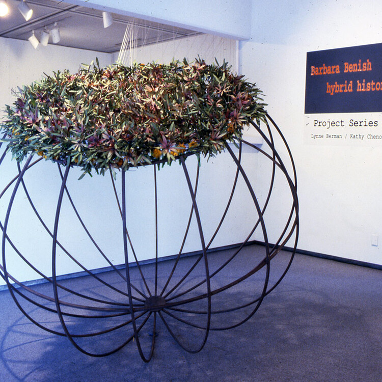 Barbara Benish: Hybrid Histories | Pomona Museum