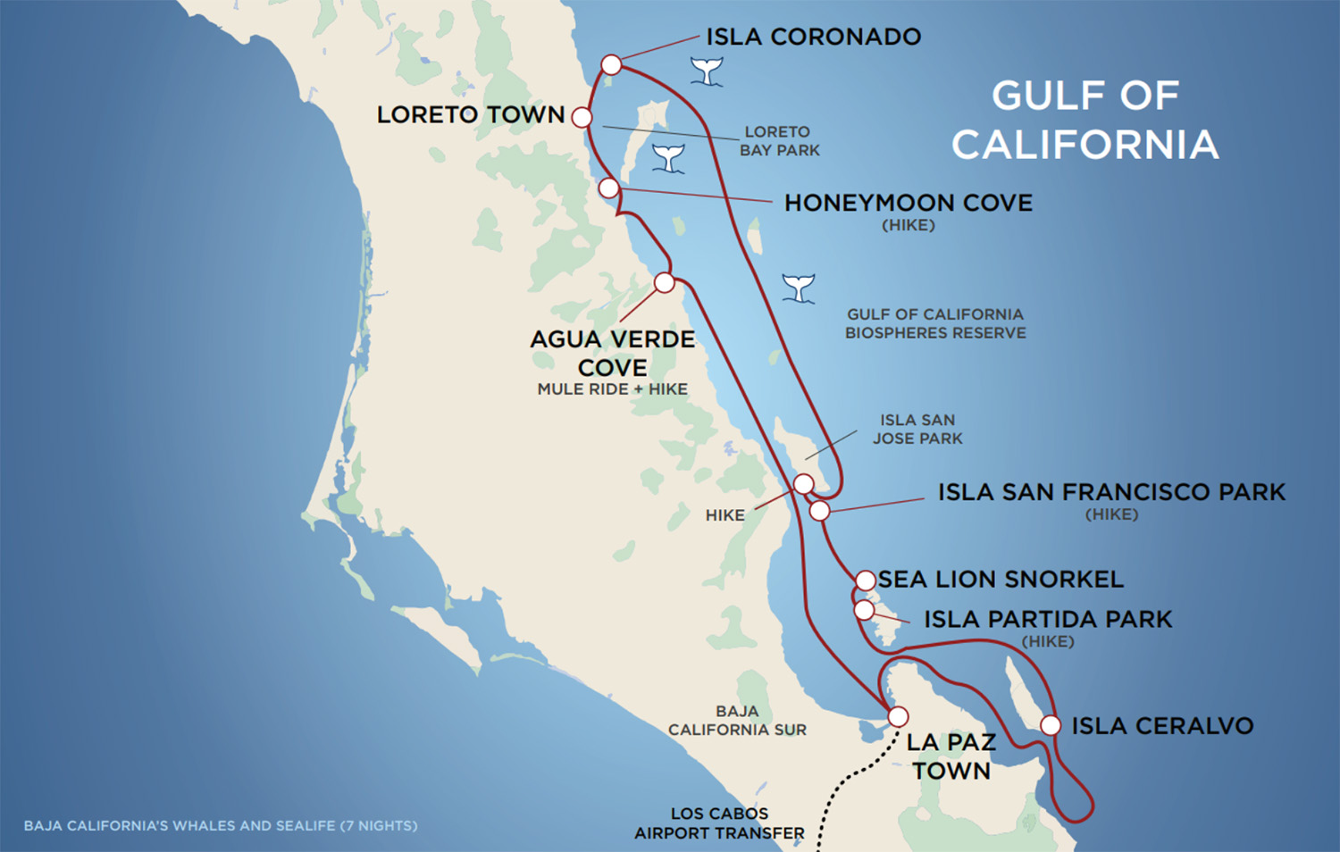 Baja California’s Whales & Sea Life | Pomona College in Claremont ...