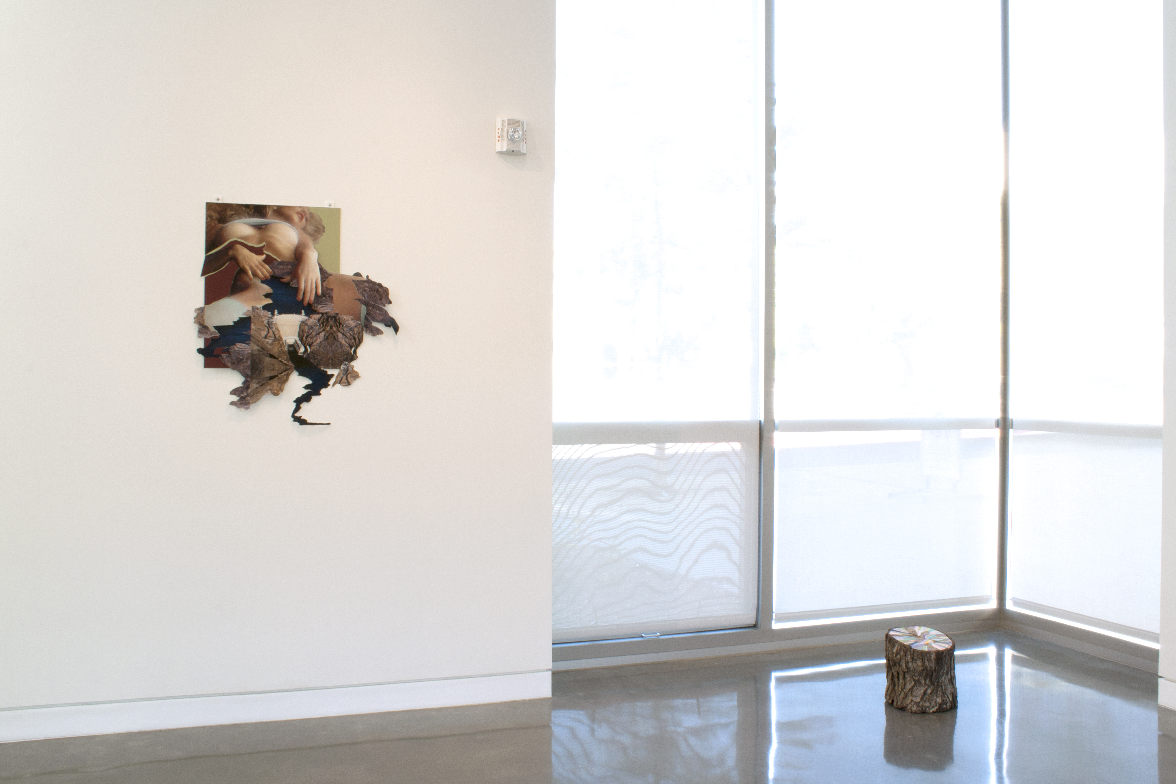 Suzanne Wright | Pomona College in Claremont, California - Pomona College