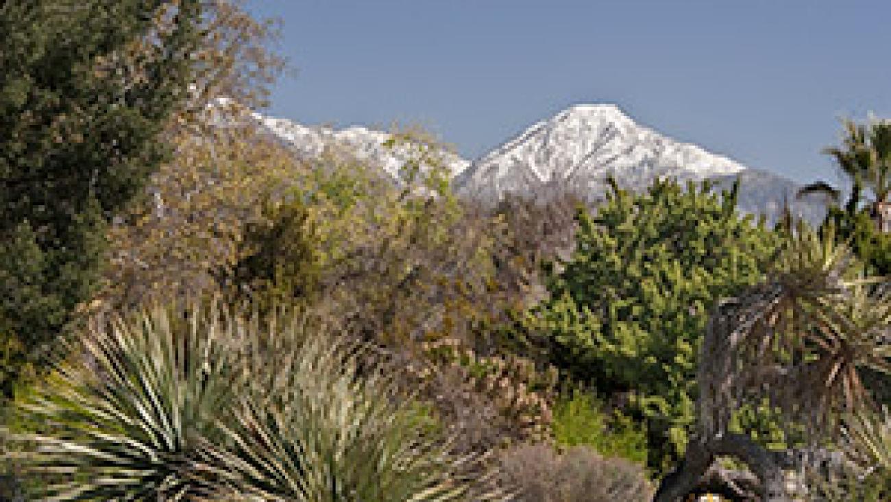 The California Botanic Garden | Pomona College in Claremont, California ...