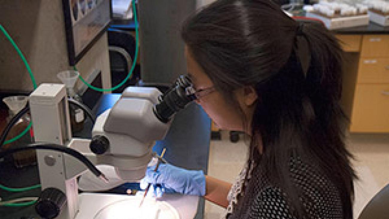 Molecular Biology Facilities Equipment and Other Resources | Pomona ...