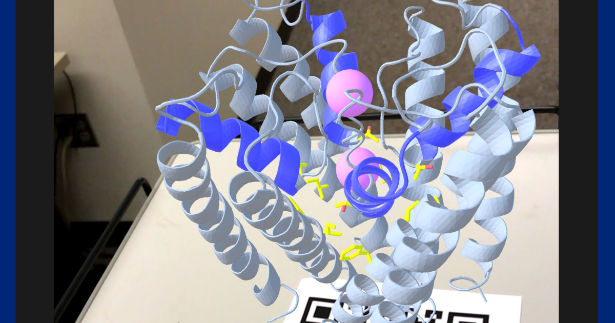 BioChemAR: Macromolecular 3D visualizations in the classroom | Pomona ...